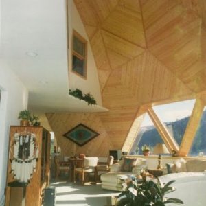 Natural Spaces Domes Interior Wood Paneling - Natural Spaces Domes
